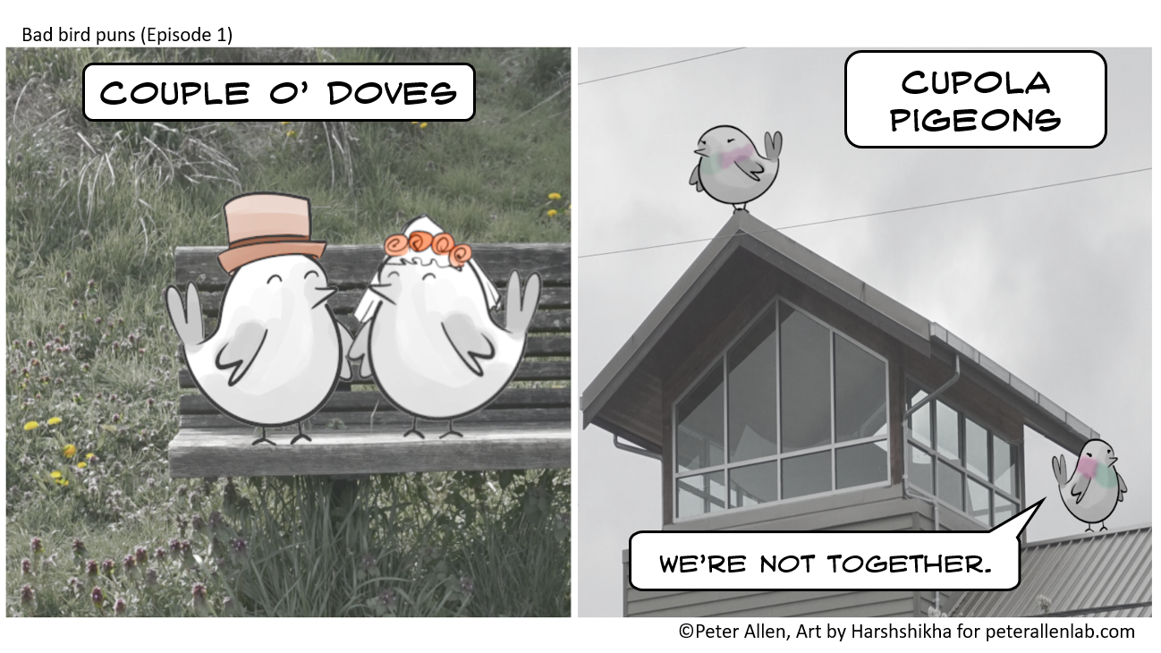 Bad Bird Puns and Good Links | Dr. Peter B Allen – Lab Blog